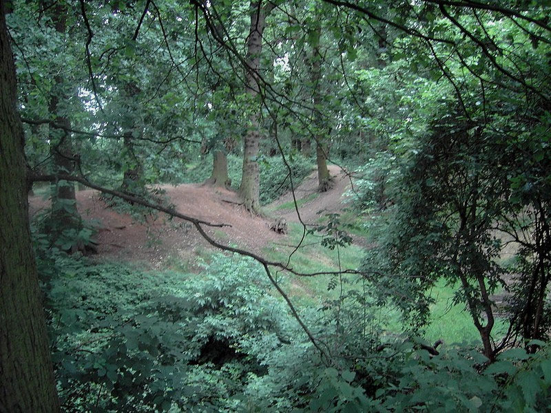 Hobs Moat - History of Birmingham Places A to Y