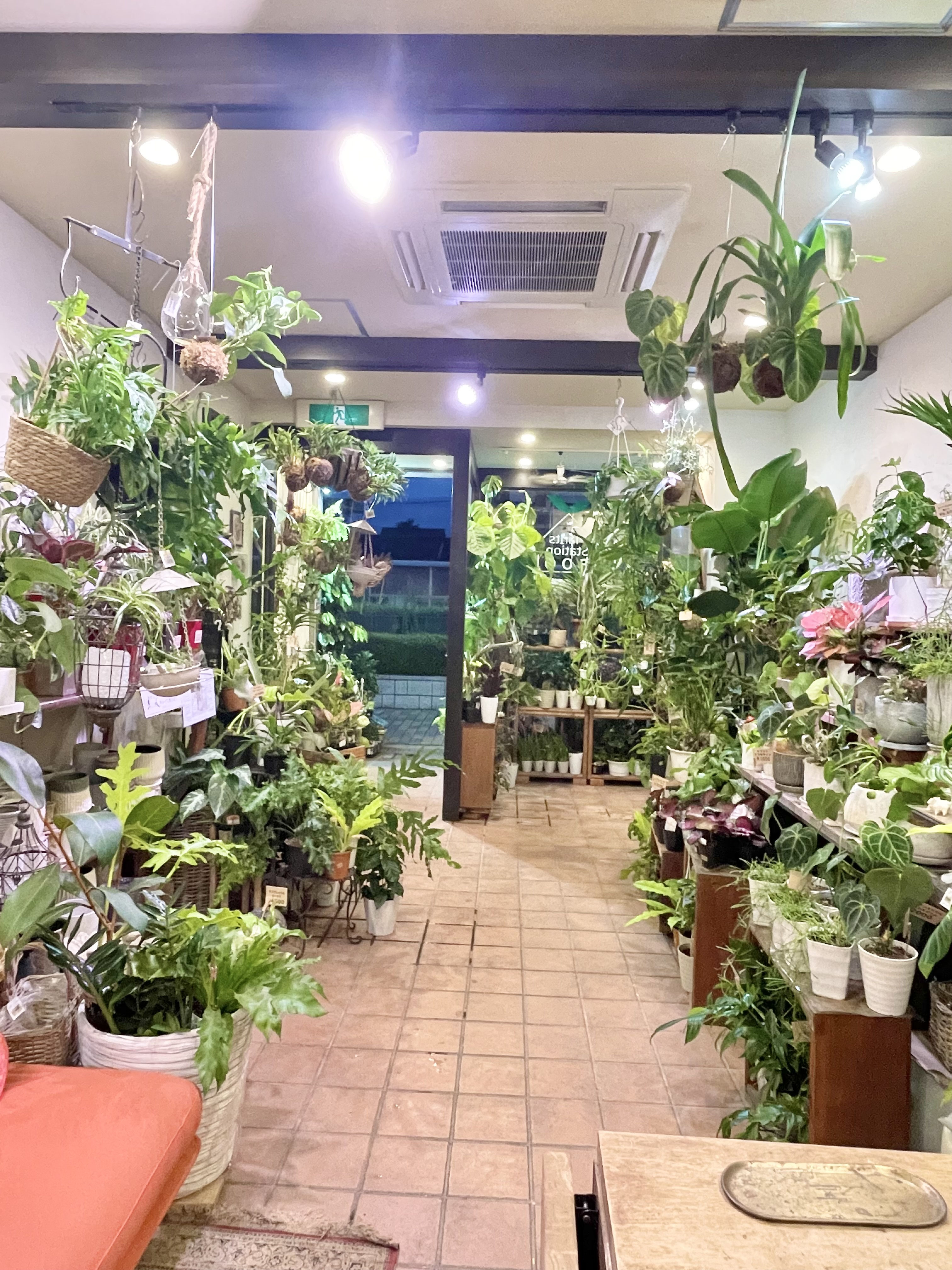 Plants Station BOO - plantsstationboo ページ！