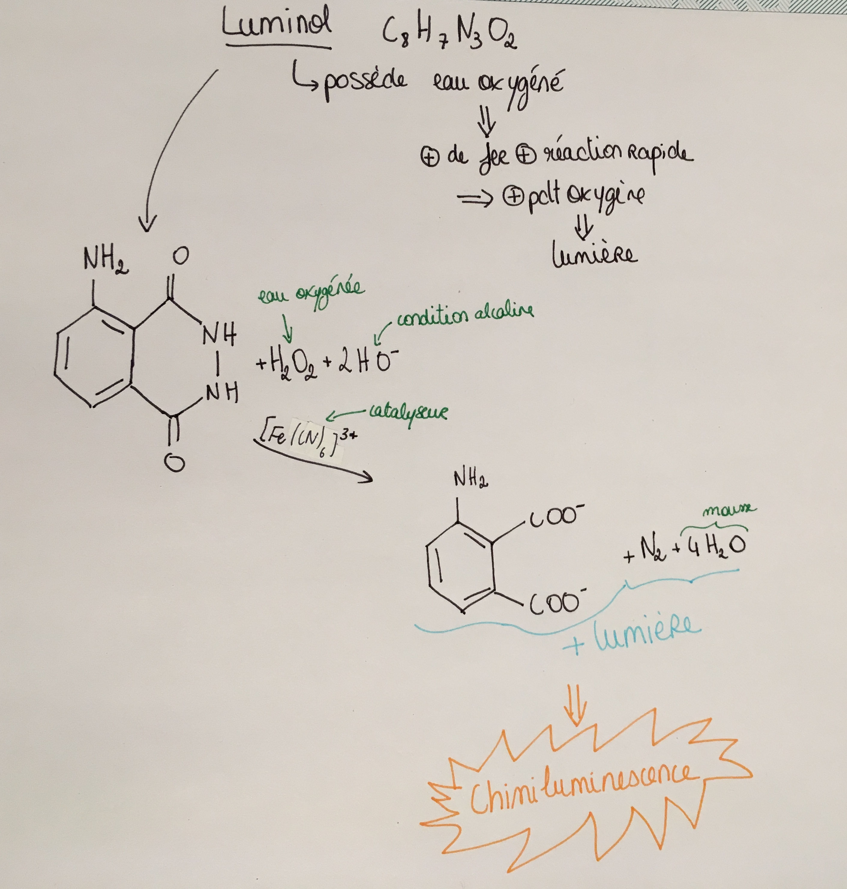 LE SANG - Site de tpe-methodesscientifiques