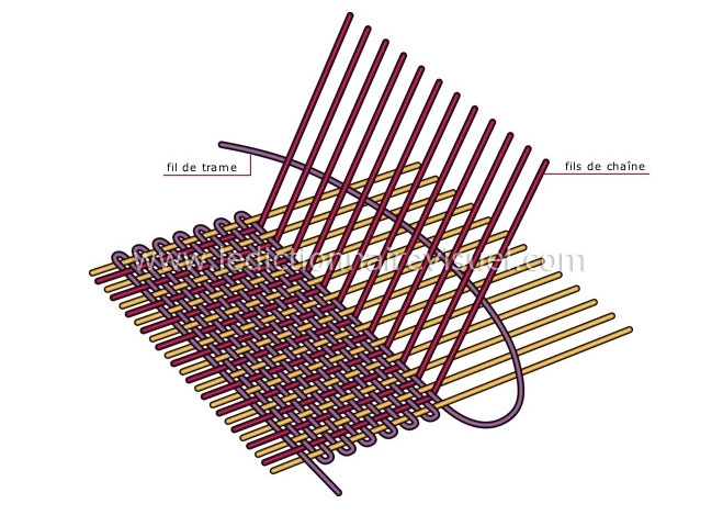 LES FIBRES - Site de tpe-methodesscientifiques