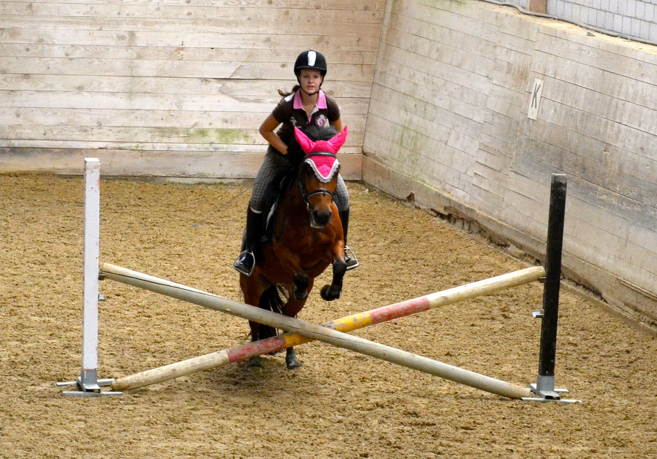 Reiten für Kinder und Jugendliche - RGO | Reiten in Dielsdorf ...