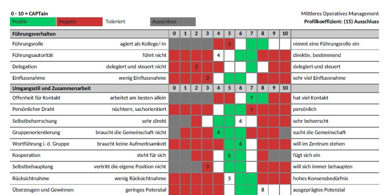 Wie funktionieren die Anforderungsprofile? - CAPTain Test®