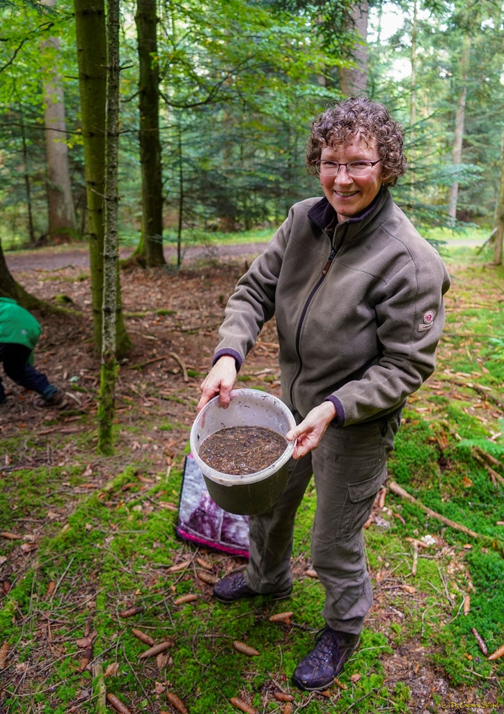 Wald und Wasser - Schutzgemeinschaft Deutscher Wald - Kreisverband Rems ...