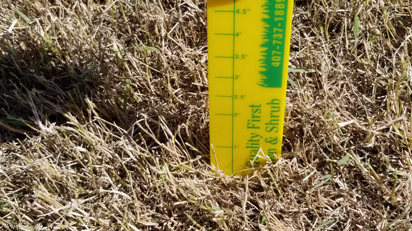 Zoysia Grass Cut Down Quality First Lawn And Shrub Care Inc
