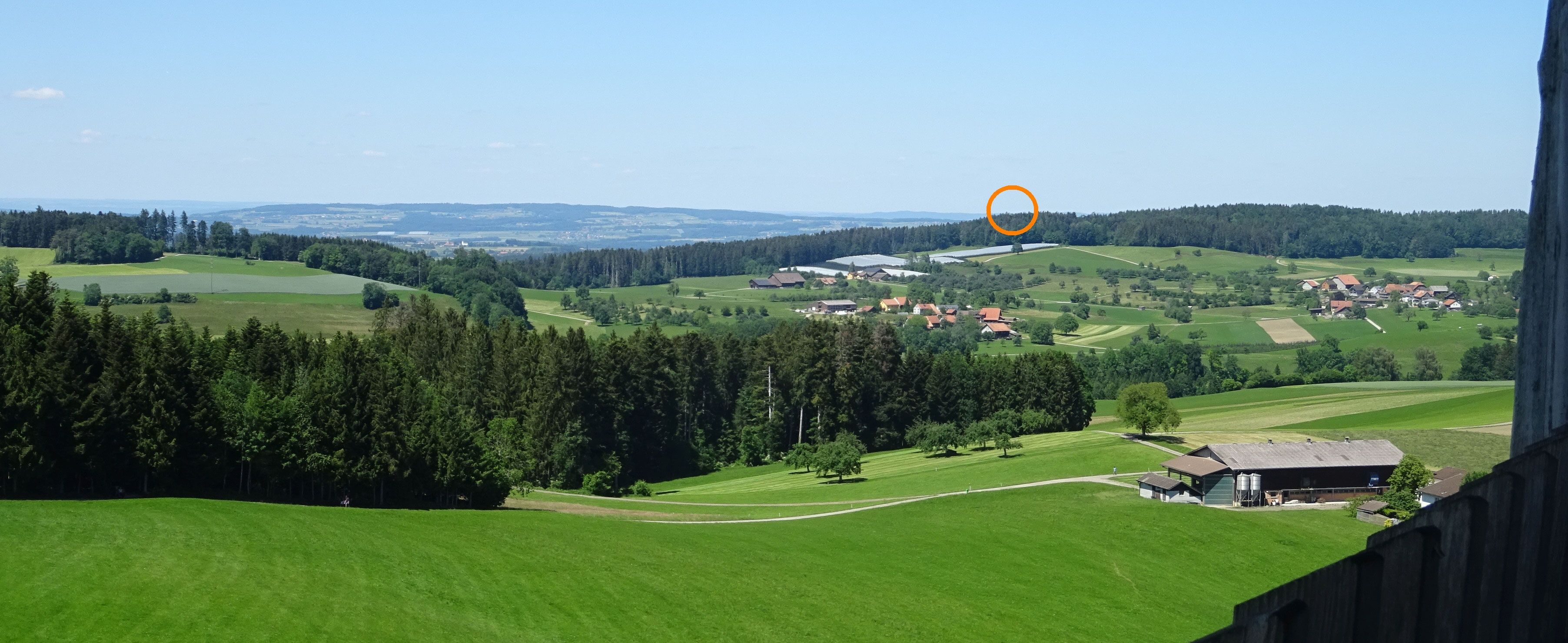 Wiler Turm - Napoleonturm