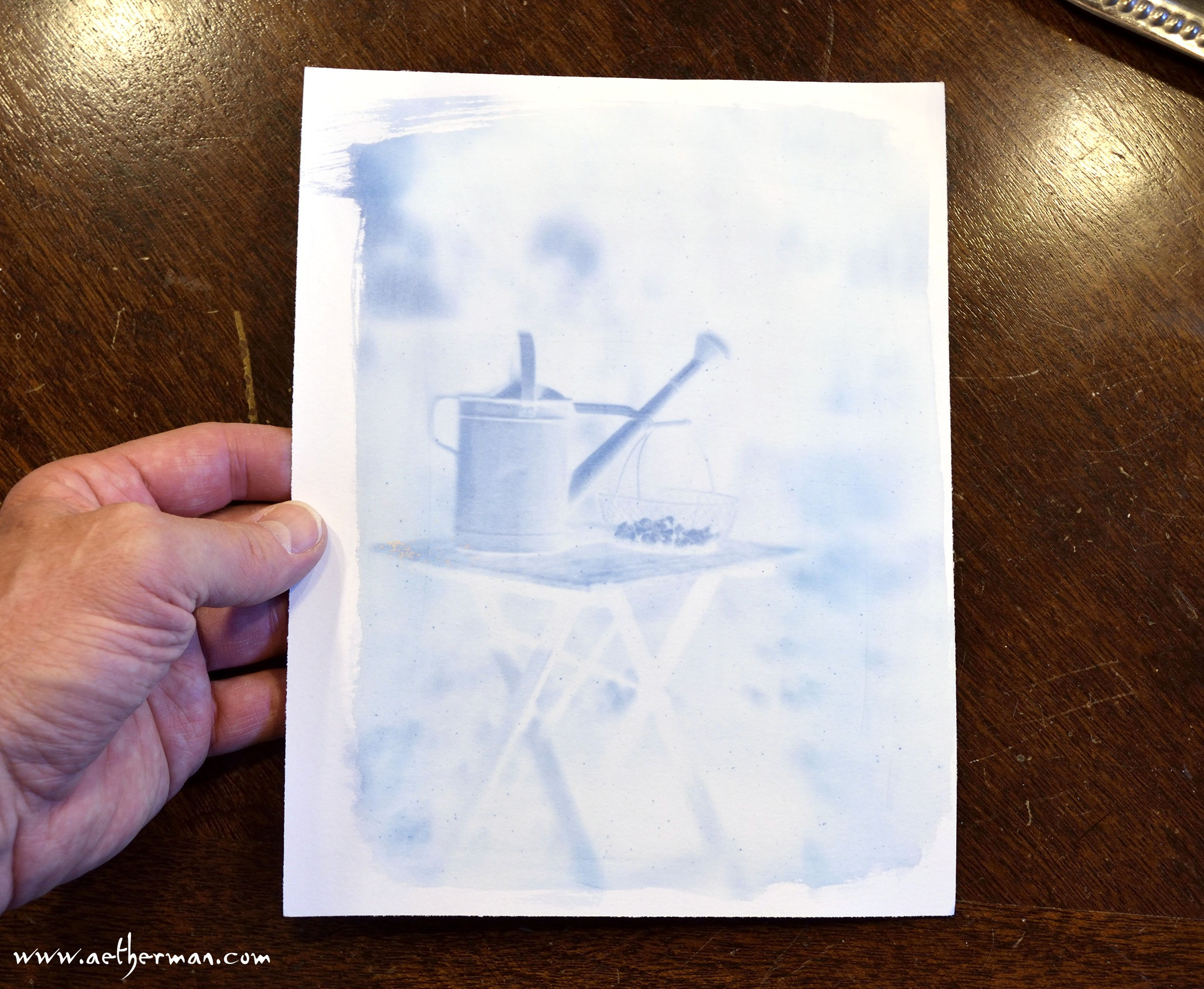 Photogenic Drawing with "Cianotypia Cita" - photographic-alchemys Webseite!