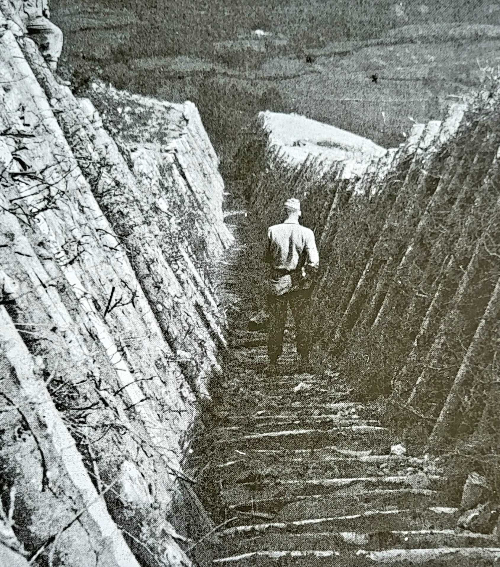 The Italian Campaign and the Gothic Line 1943-1945 ...