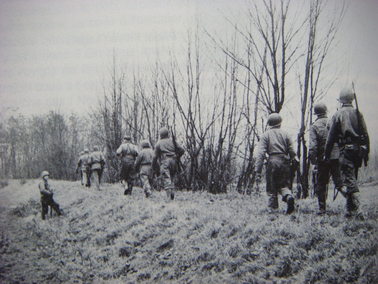 The 103rd (Cactus) Division and the 36th (Texas) Division fight for ...