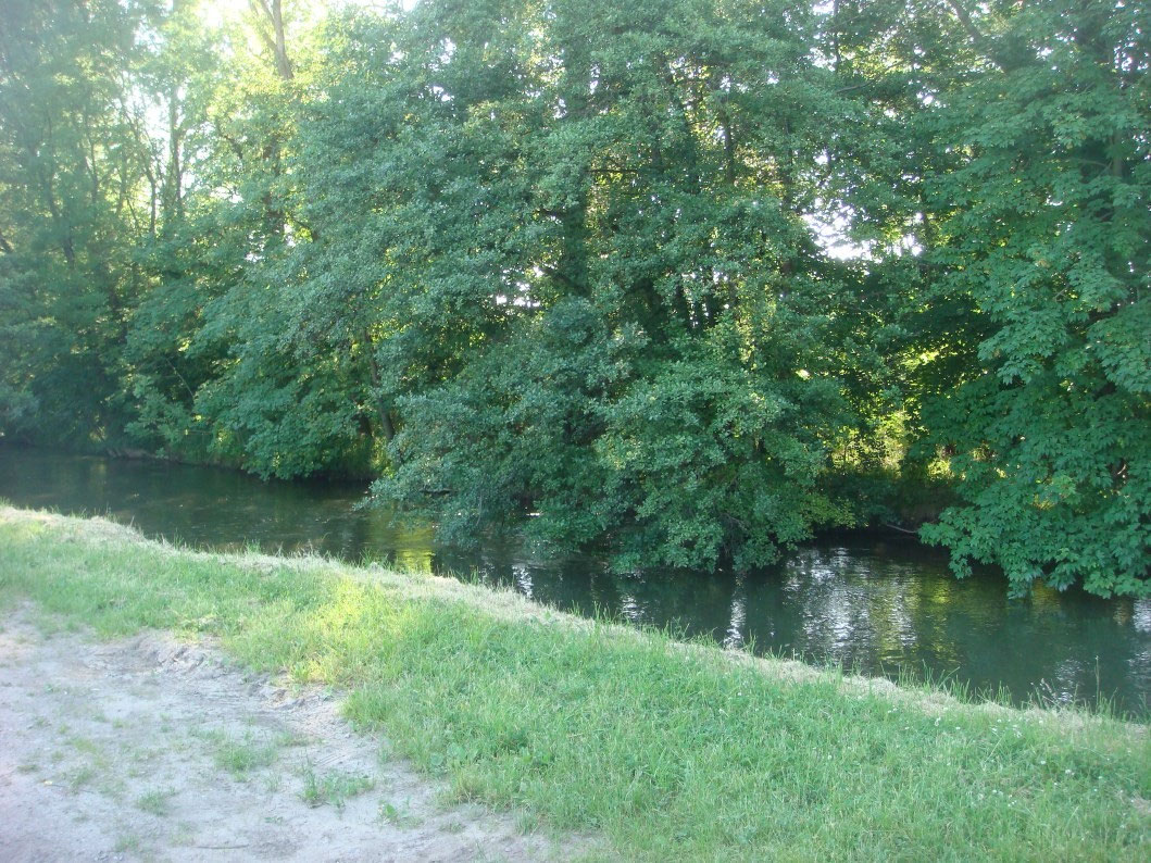 The 103rd (Cactus) Division and the 36th (Texas) Division fight for ...