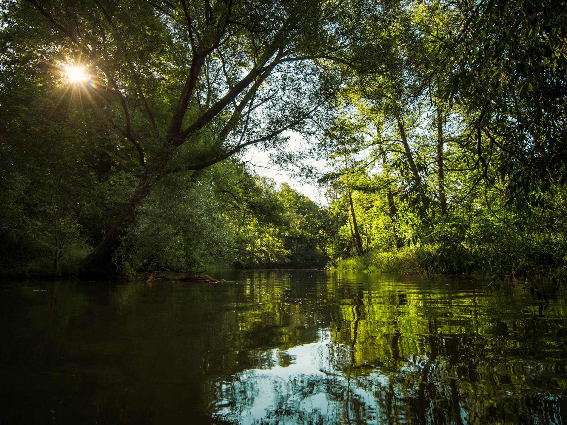 Das Camp an der Spree - alles was du brauchst - Karsten Nitsch, Ihr ...