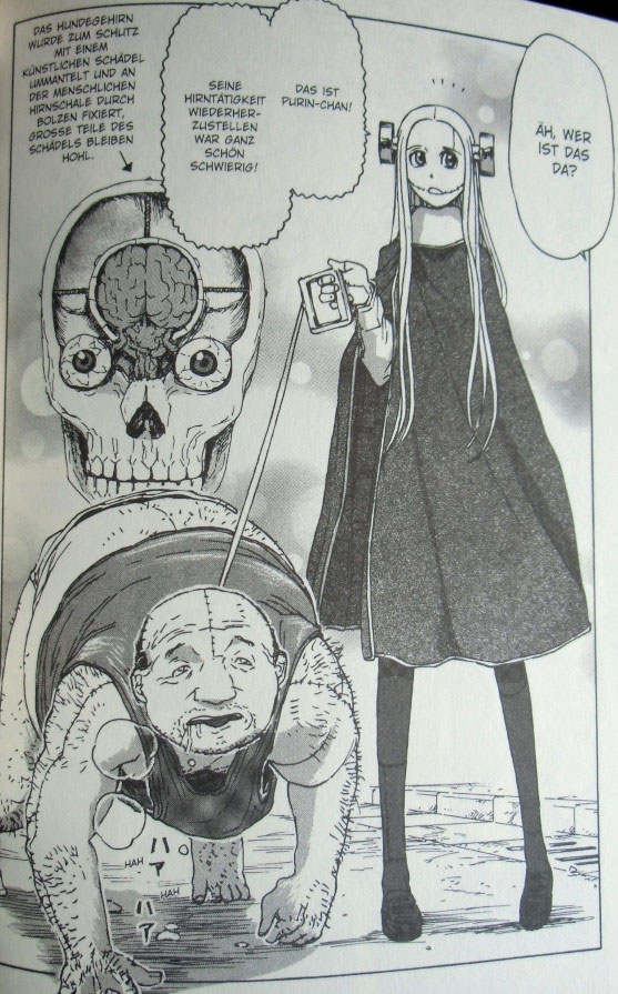 Mangastisch!: Franken Fran - kamesanimekrams Webseite!