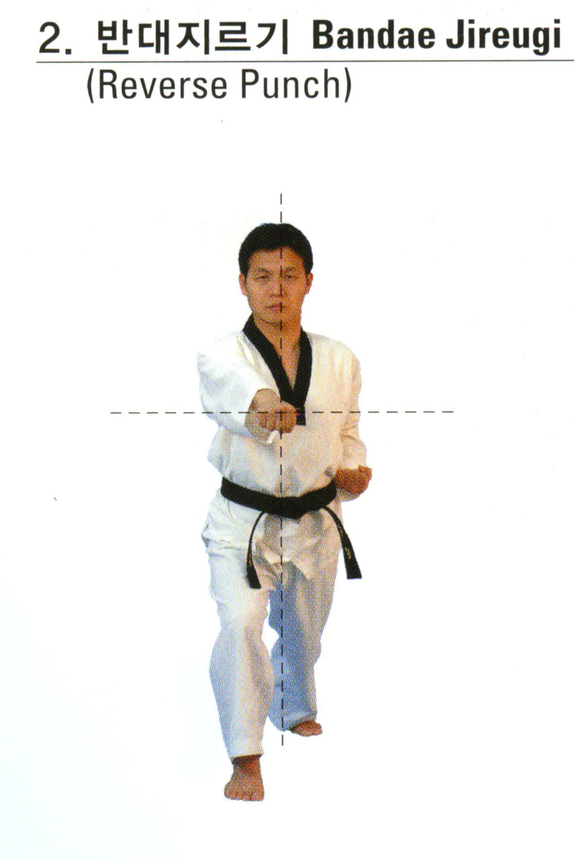 attaques en images - Site de taekwondopuiseaux