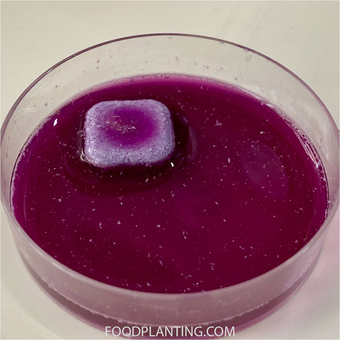 Organisch Bemesten: Zelf Een pH Indicator Maken Van Rode Kool ...