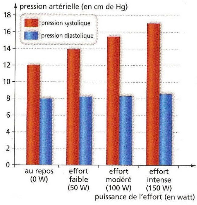 Fonctionnement de l'organisme et activité physique - Site de cours de collège et lycée en SVT