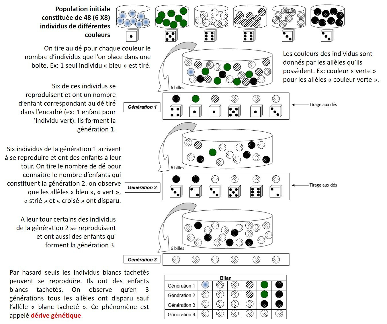L'organisation et la diversité du vivant - Site de cours de collège et ...