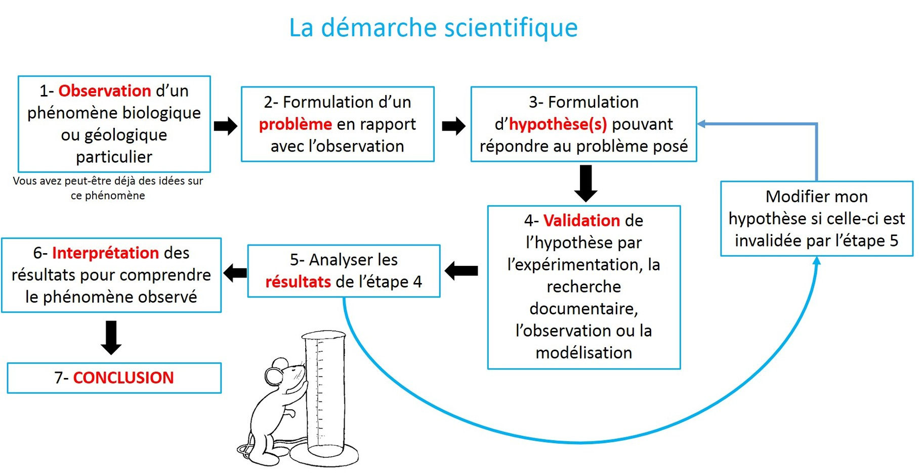 Démarches scientifiques, modèles et modélisations en SVT - Site de ...