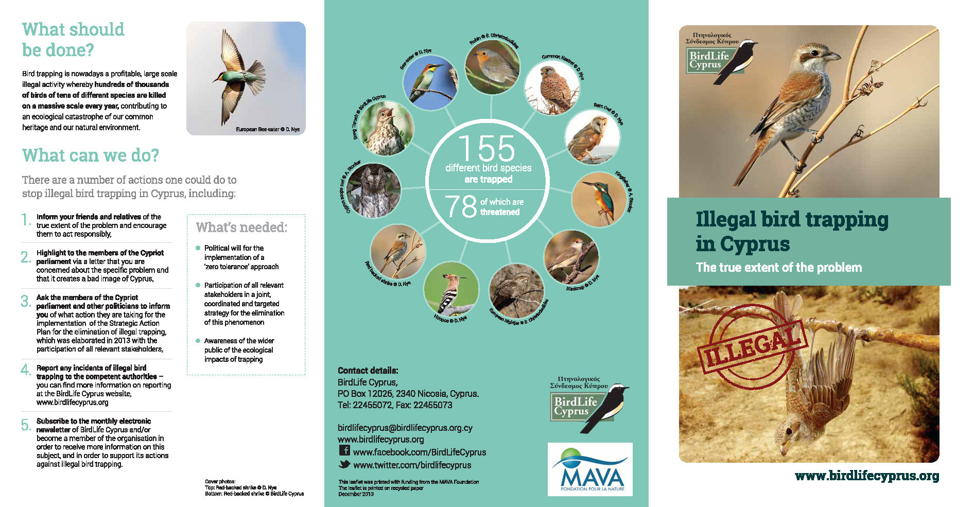 Illegal Bird Trapping in Cyprus - Cyprus-Birds-photography.com