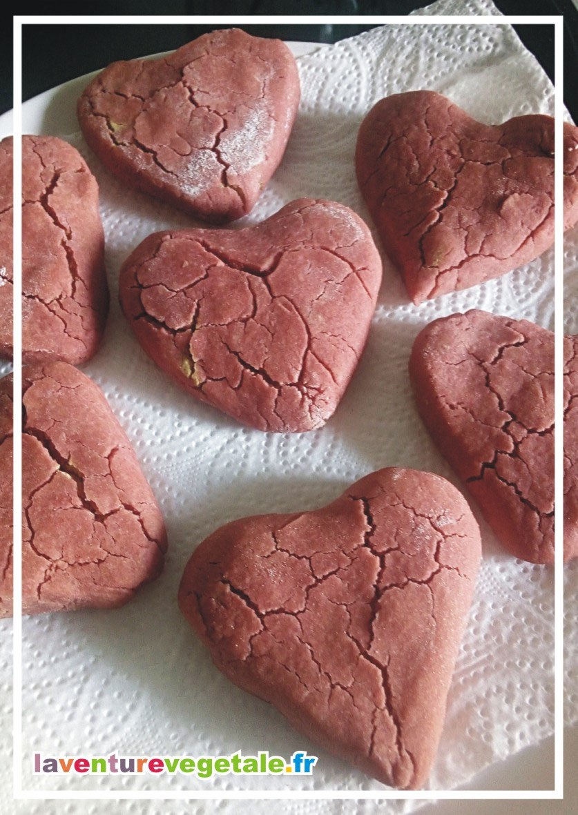 Anko-pan - Livres, articles, recettes, vidéos et voyages autour du monde!