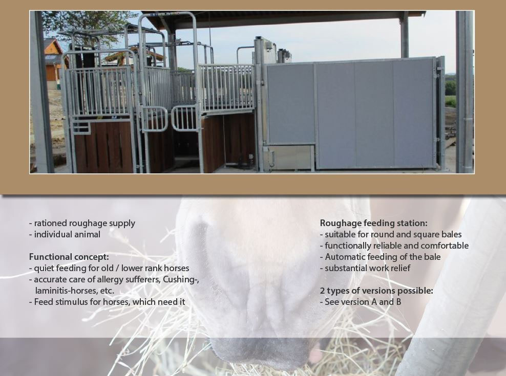 Compident Horse roughage feeding station - Active Horse