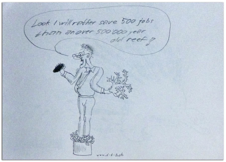 Cartoons - David Brandenberger d-t-b.ch