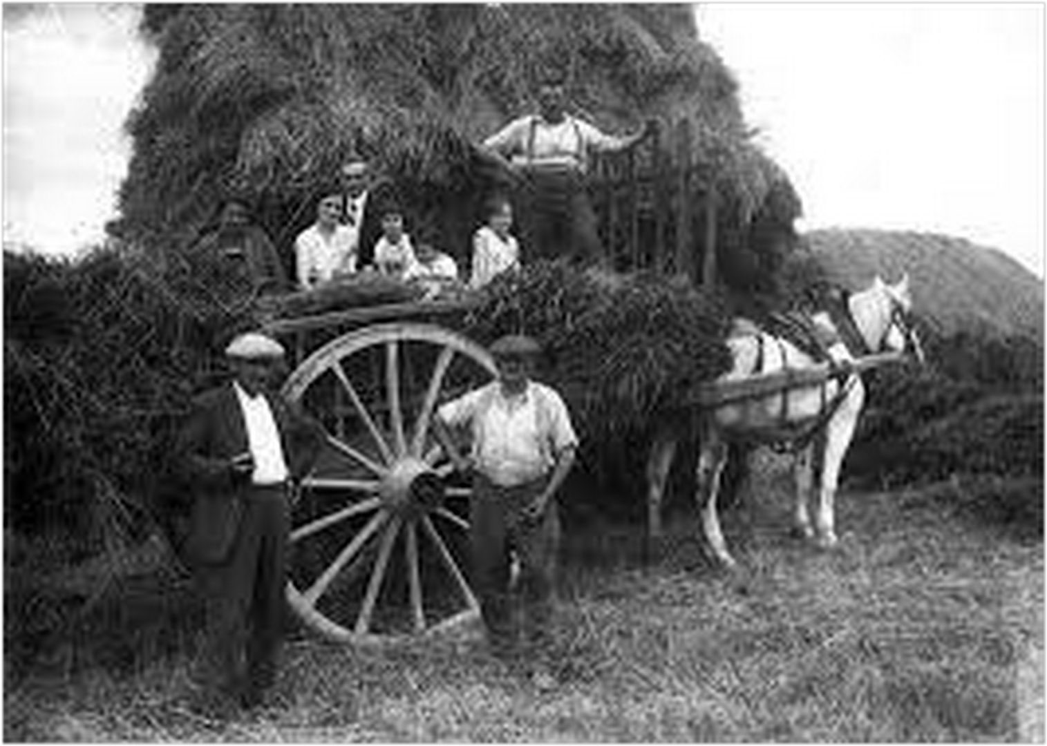 Transport et attelage - Site de patrimoine-savoirs-bocage
