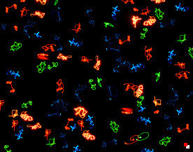 Was ist ein String? - Der Dimensionismus - eine neue und doch alte ...