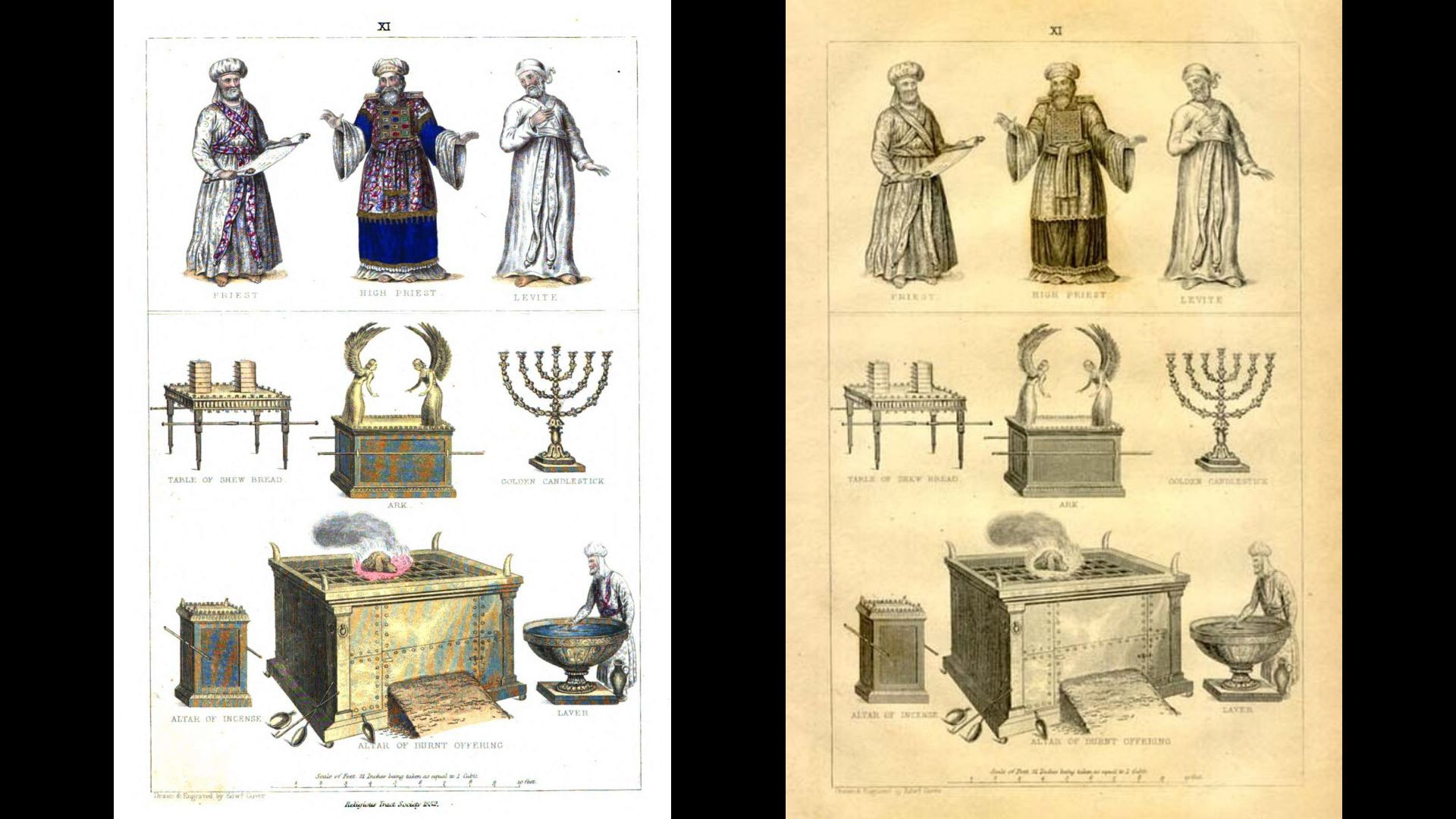 ANCIENT AND NEW MENORAHS - 19th Century - Structure Bible, Ancient Menorahs