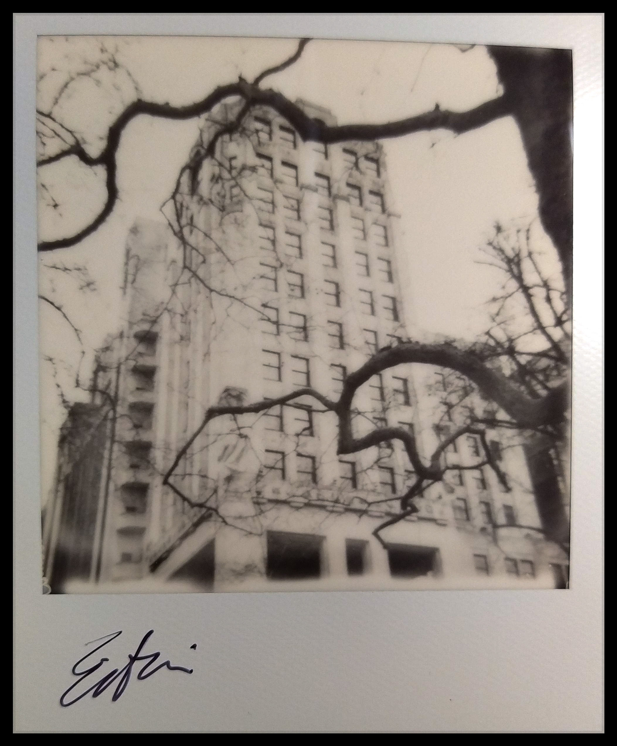 Polaroids - Eifion Evans Artist