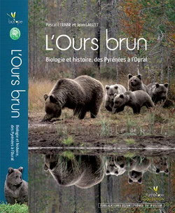 Pour en savoir plus sur l'ours brun (Ursus arctos) - IcoFlore - Site de ...
