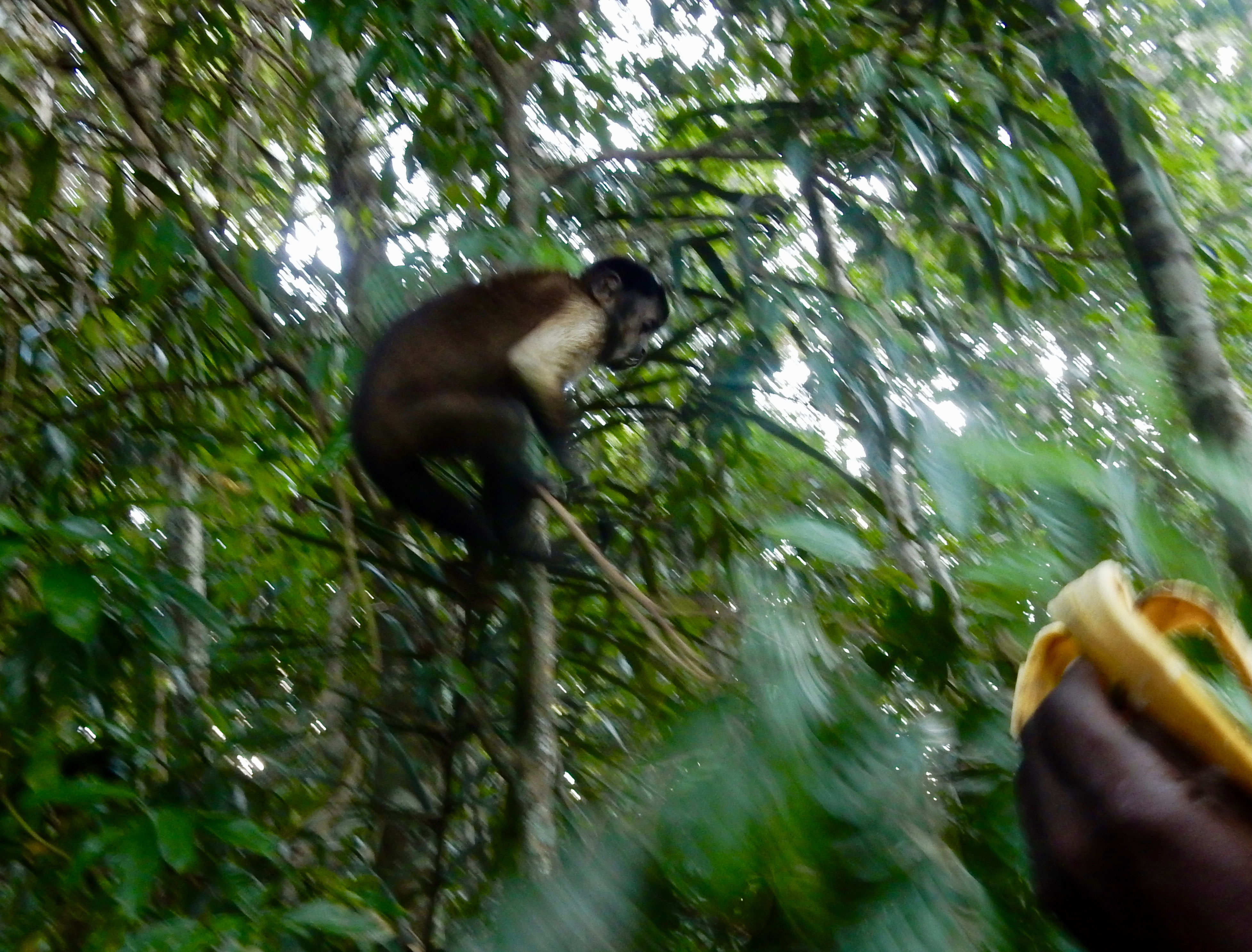 District Sipaliwini - De website van bibionderweg!