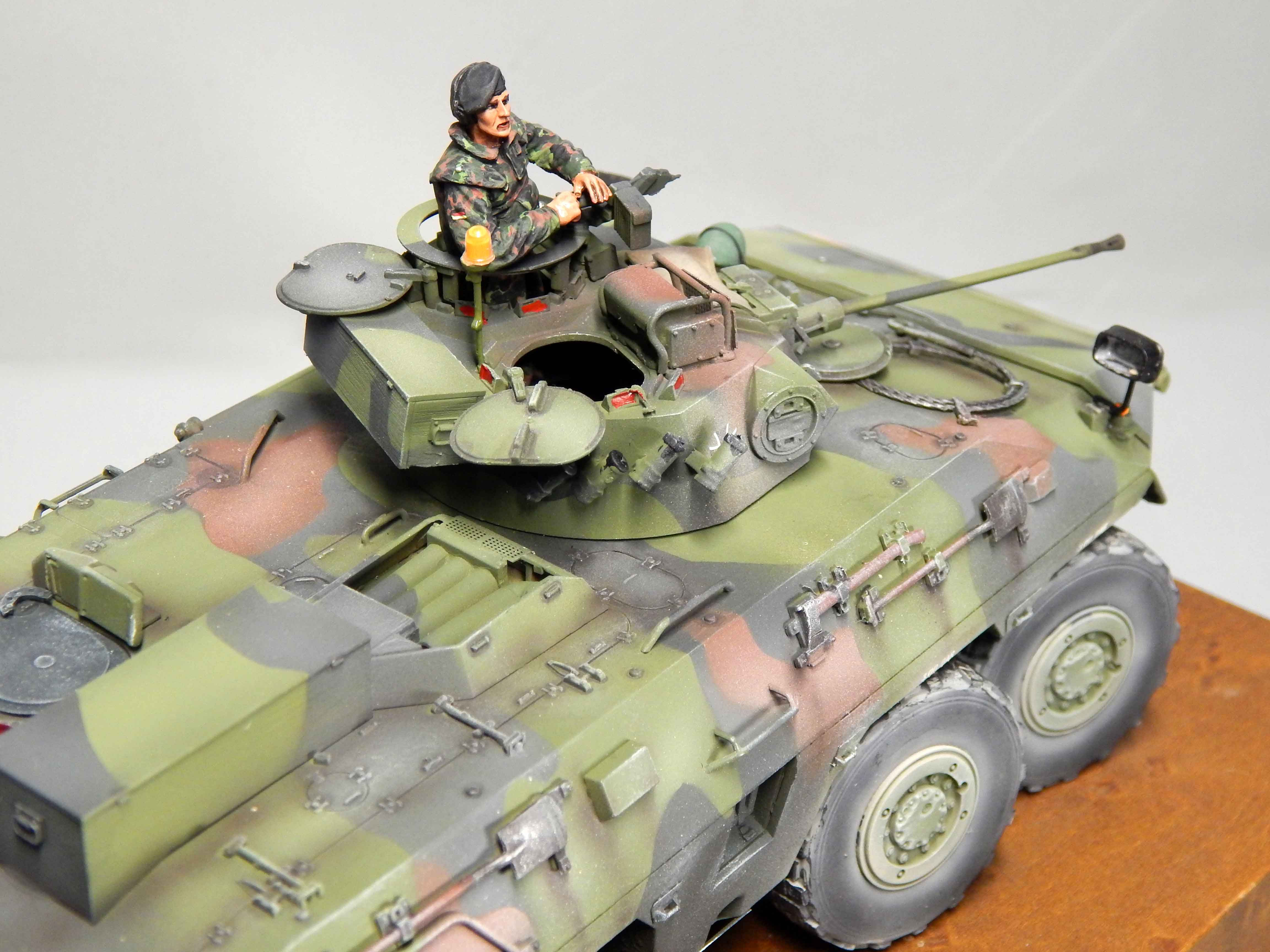 Ein Luchs auf Aufklärung - www.panzer-bau.de/diorama/militär/1:35