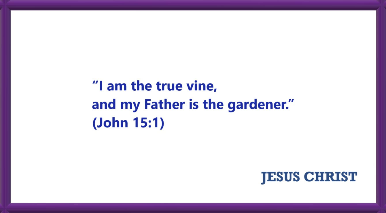 I AM Quotes - Expressions