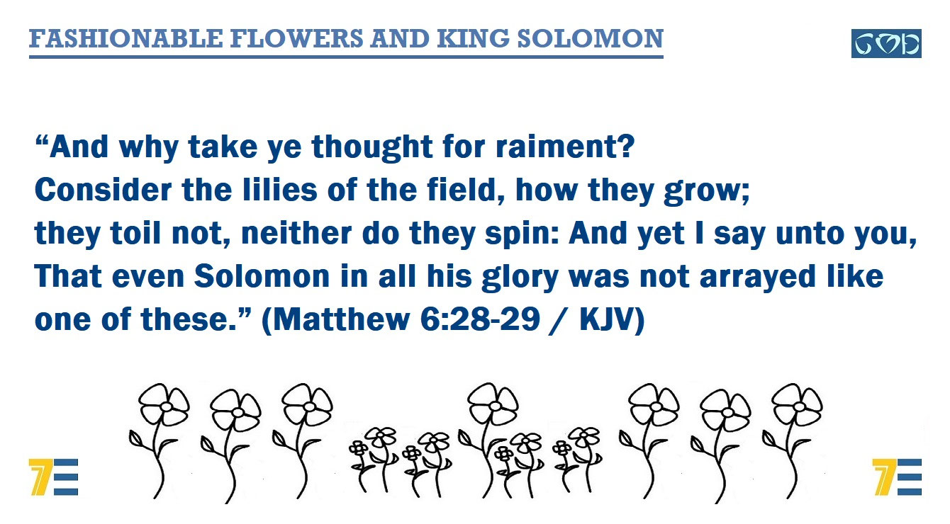 Quote: Gospel Verses from Matthew - Expressions