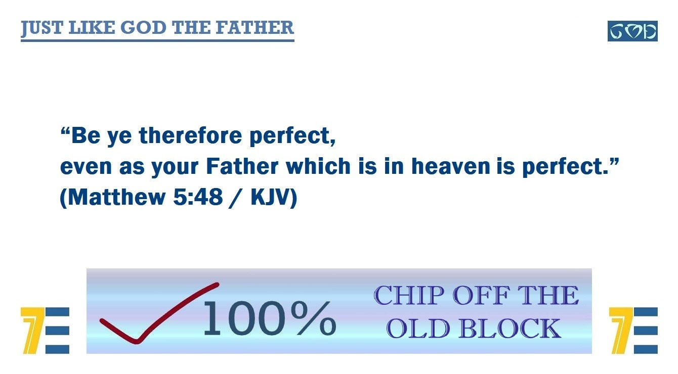 Quote: Gospel Verses from Matthew - Expressions