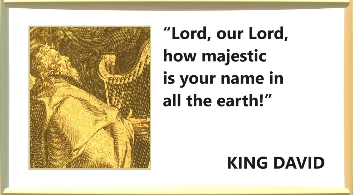 Quotes and Prayers Assigned to King David - Expressions