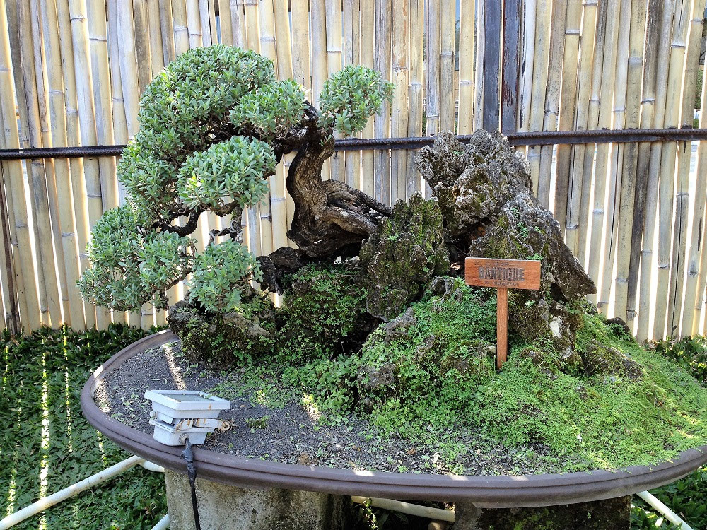 Philippines, 2, THE GARDEN in Cuidad de Victoria in Bocaue, Bulacan ...