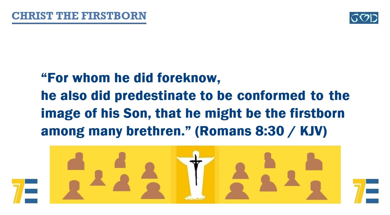 Bible Verses Quotes: Romans and 1 Corinthians - Expressions