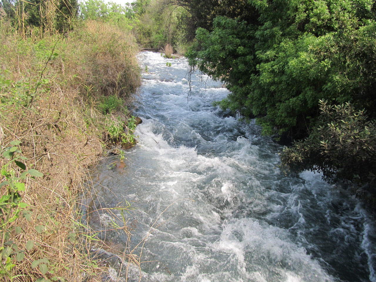 Tel Dan - Mark Gershom - tour guide