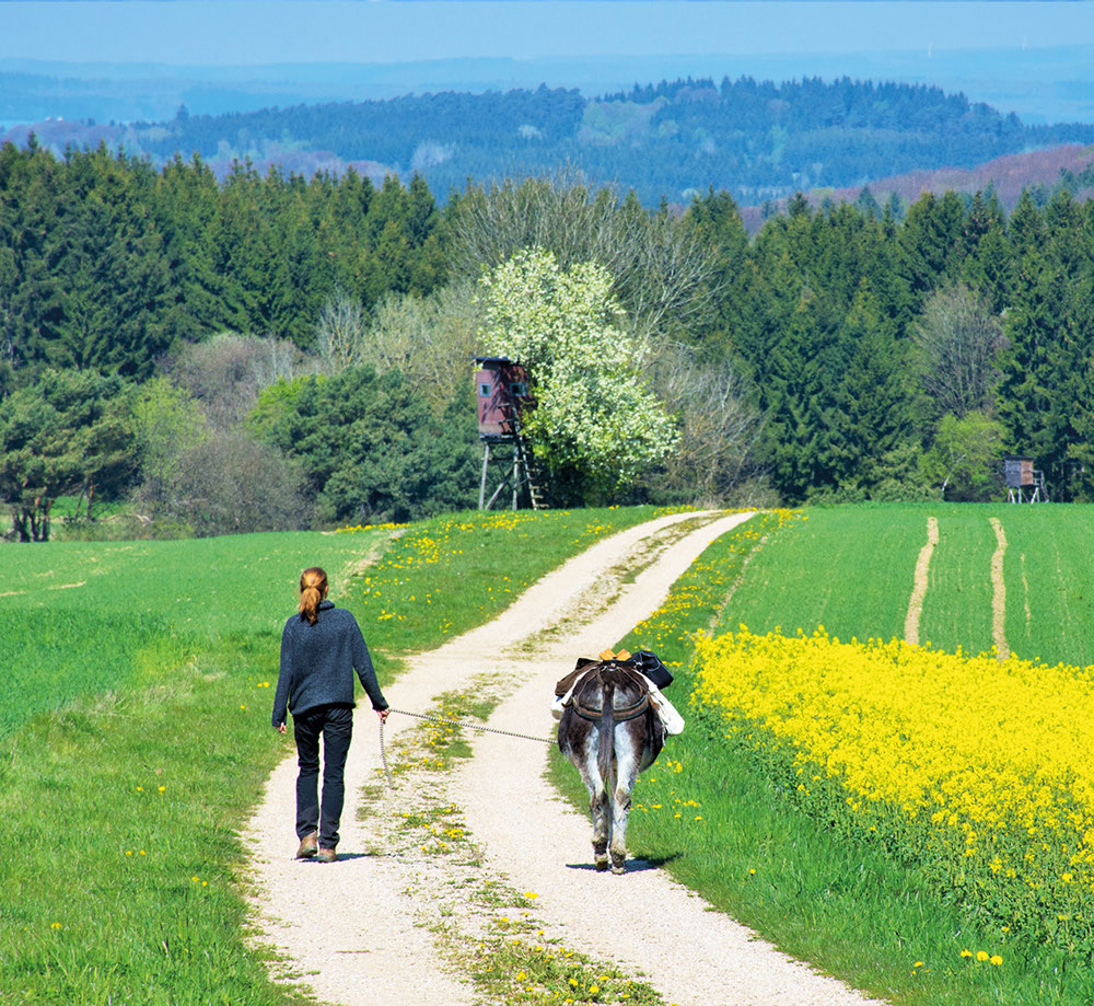 Eselwander-Routen - Der Weg ist das Ziel - Eselwandern in der Eifel