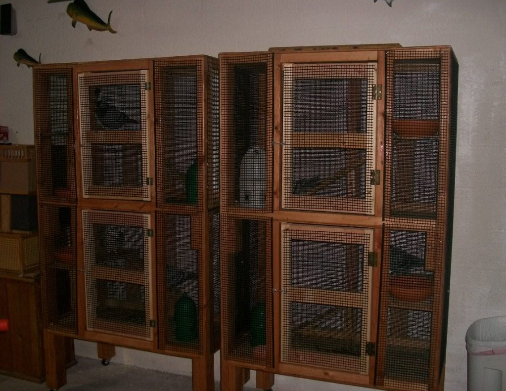 INDIVIDUAL BREEDING PENS - Website of merrickpigeons!