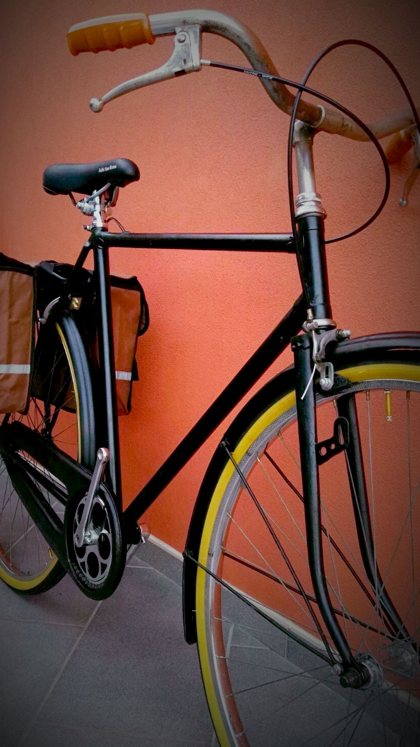 Gentleman Bike - Benvenuti su 2ruotelab!