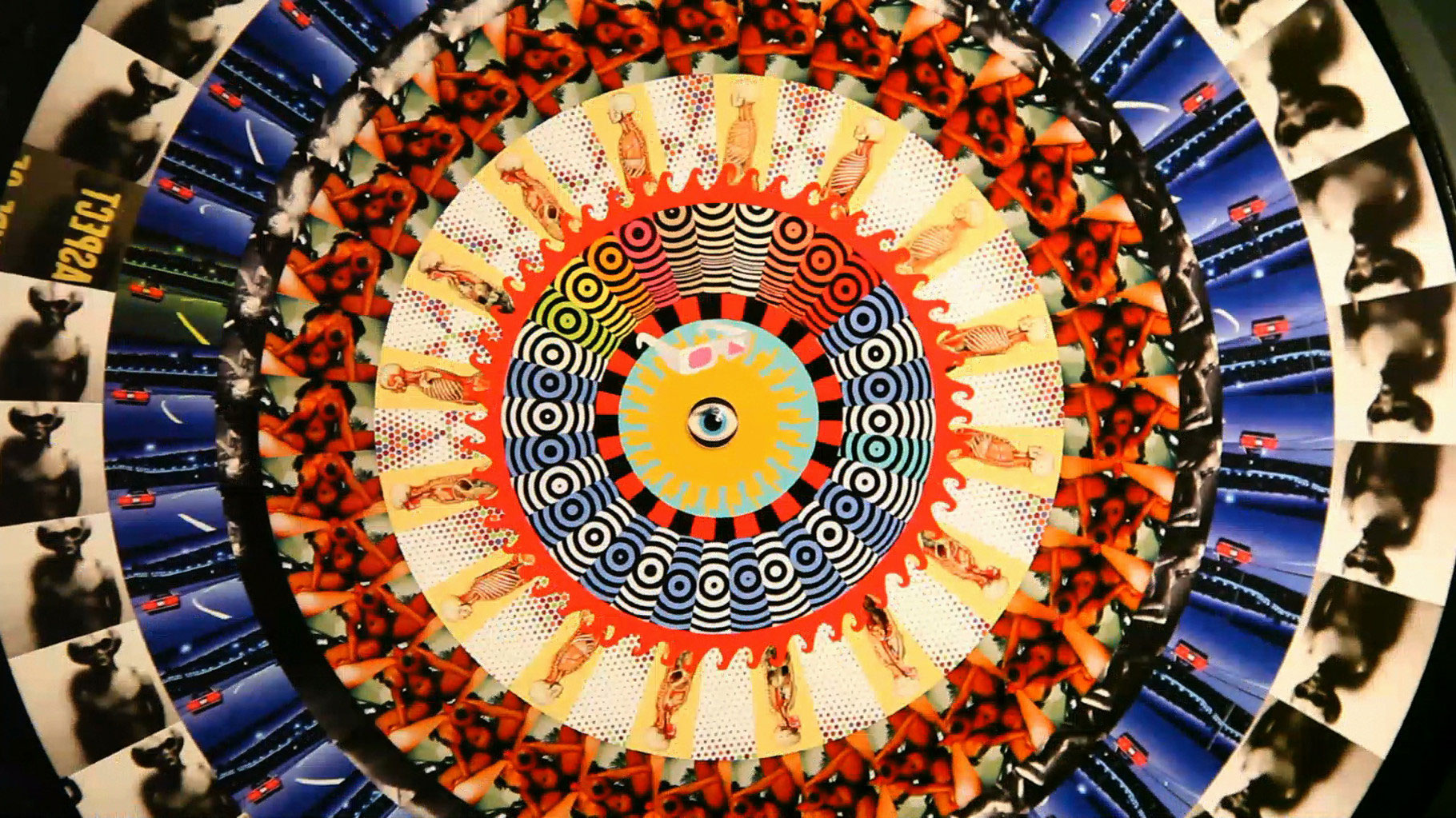 Zoetropes - Géza Szöllősi