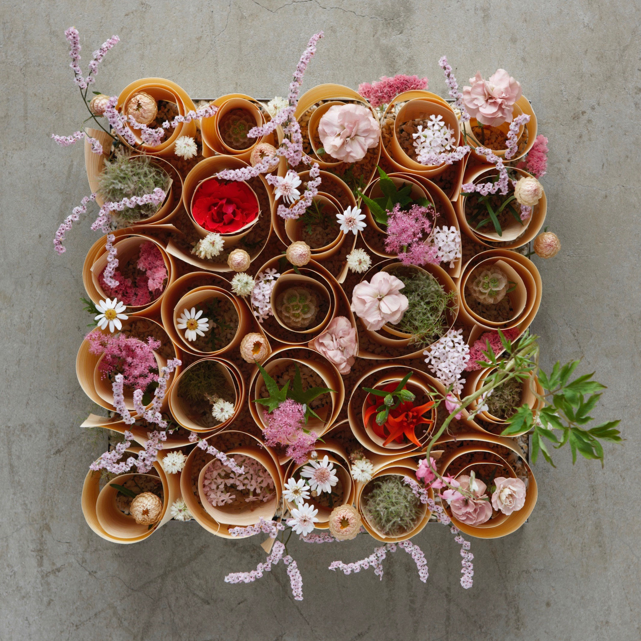 Designs with Kyogi - Design materials from Japan GREENGABES