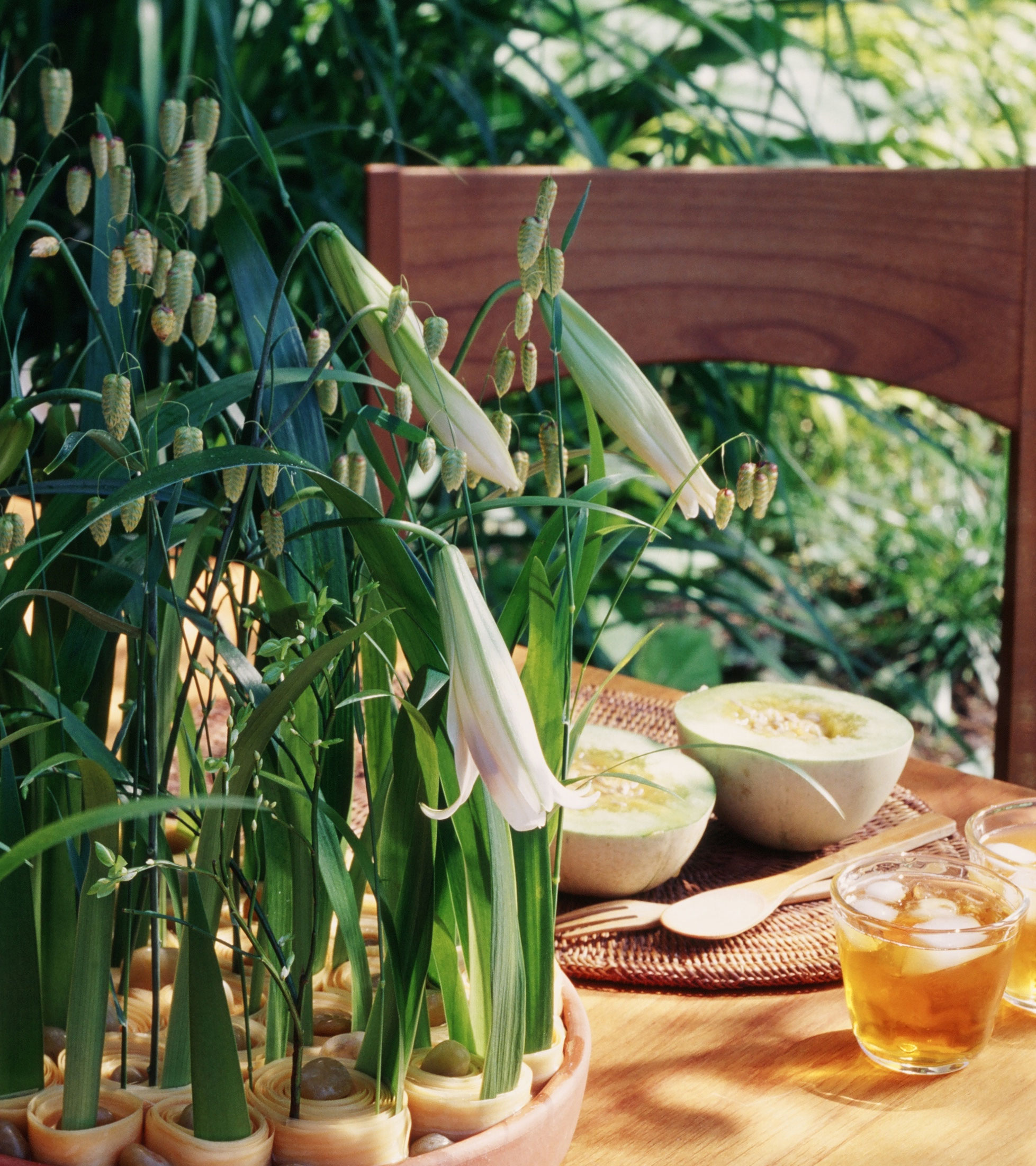 Designs with Kyogi - Design materials from Japan GREENGABES