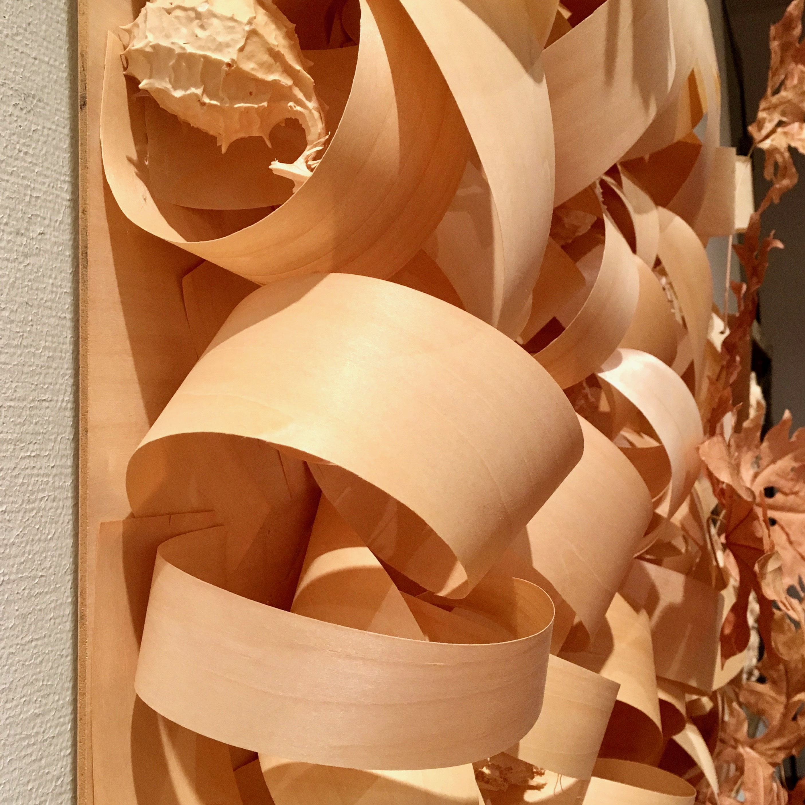 Designs with Kyogi - Design materials from Japan GREENGABES