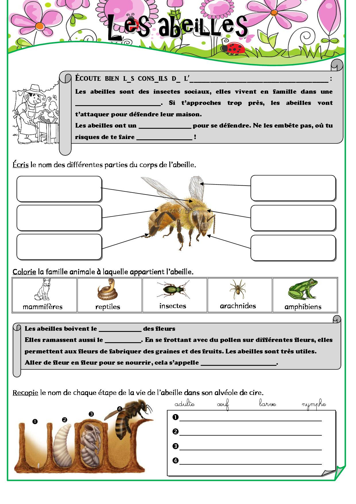 Abeille, Les petites betes, Science