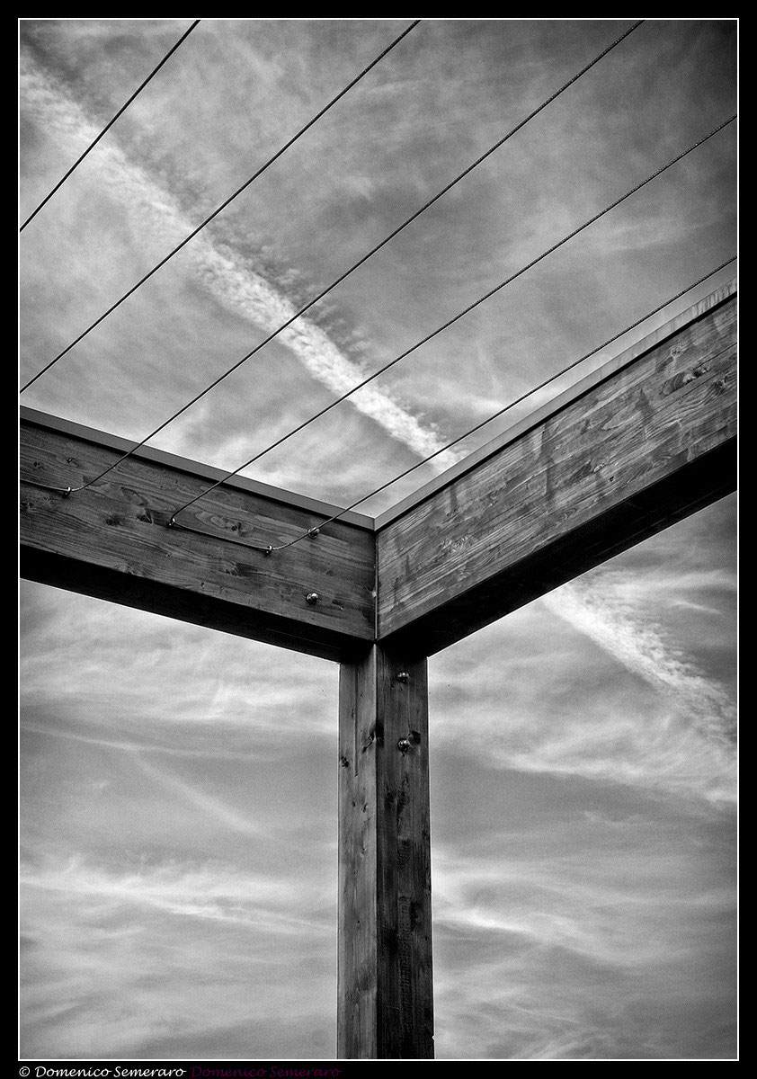 Forme - di Domenico Semeraro - fotovisioni