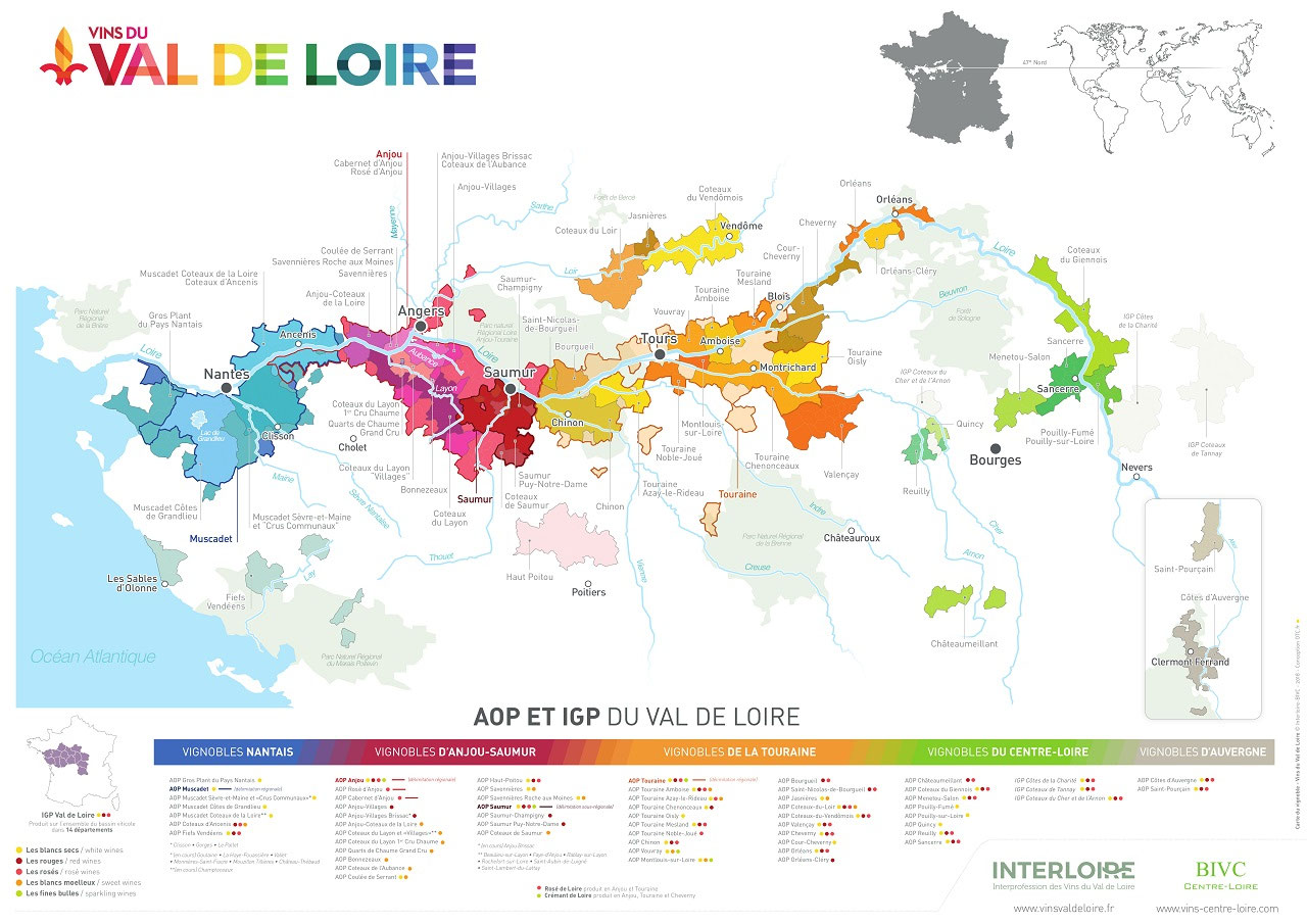 Les vins de Loire - RDV dans les Vignes