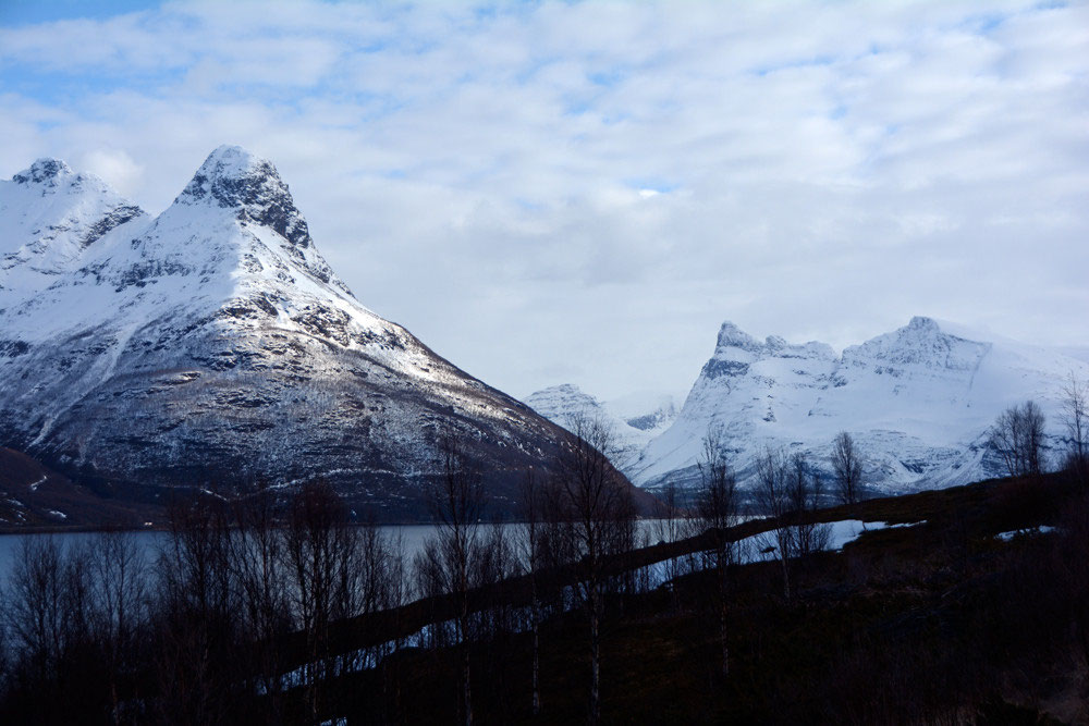 The Lyngen Line - fergusmurraysculpture.com