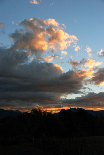 Golden Bay XII: Pohara Beach - fergusmurraysculpture.com